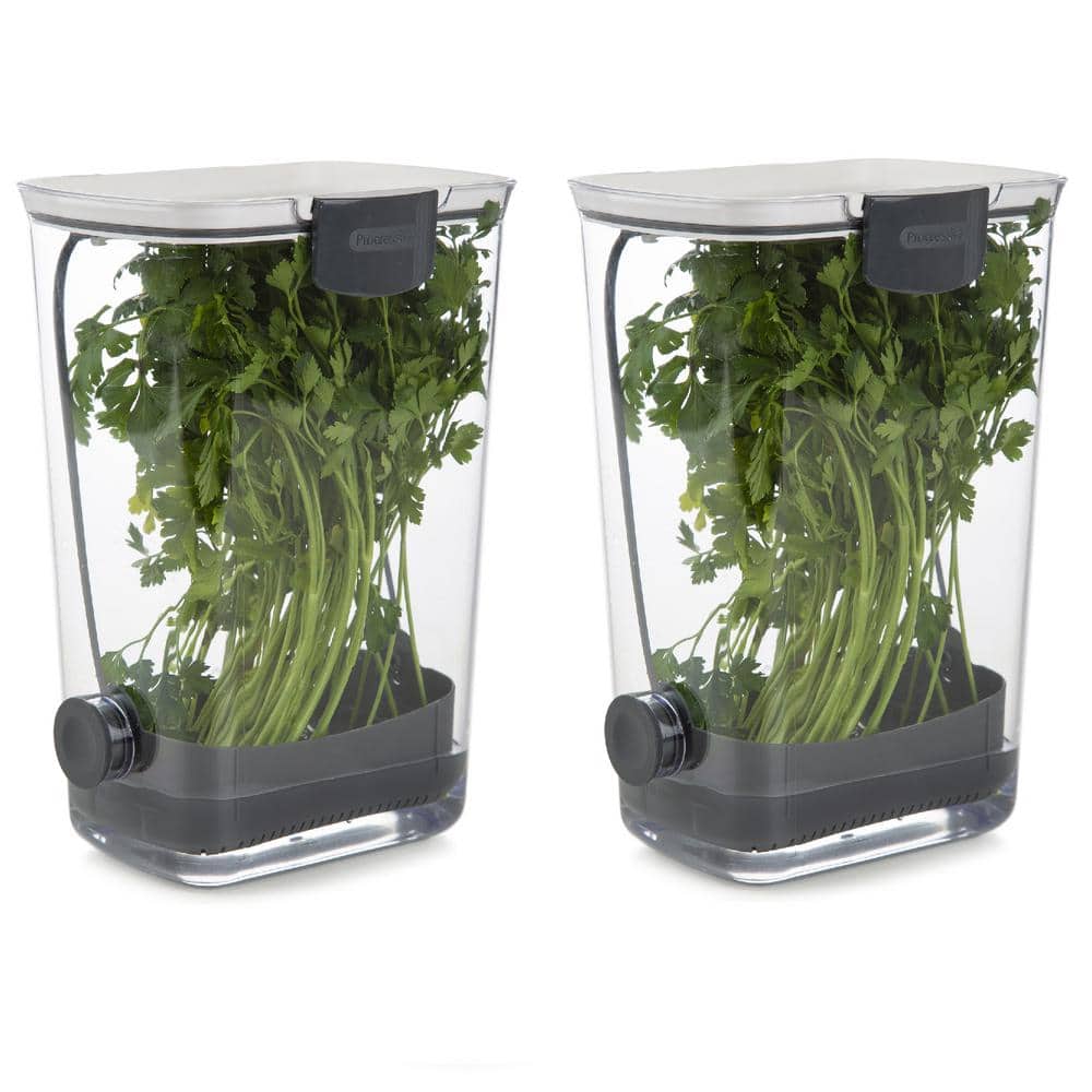 Progressive International Plastic ProKeeper Herb Keeper, 1-Piece in ...