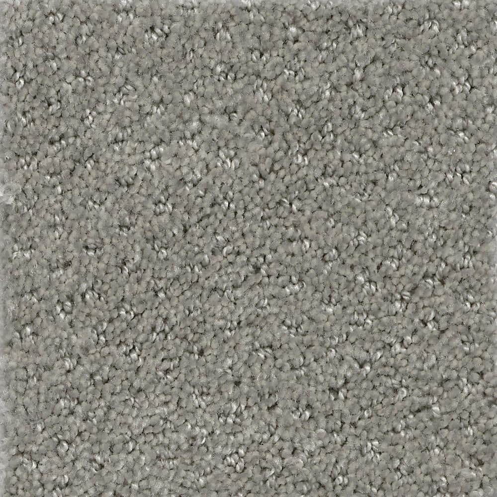 TrafficMaster 8 in. x 8 in. Pattern Carpet Sample - Prime Spot -Color ...