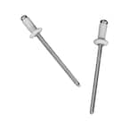 SUSPEND-IT 1-1/2 in. x 1/8 in. Rivets for Suspended Ceiling Grid ...