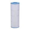 Poolman 7 in. Hayward Star-Clear C-500 50 sq. ft. Replacement Filter ...