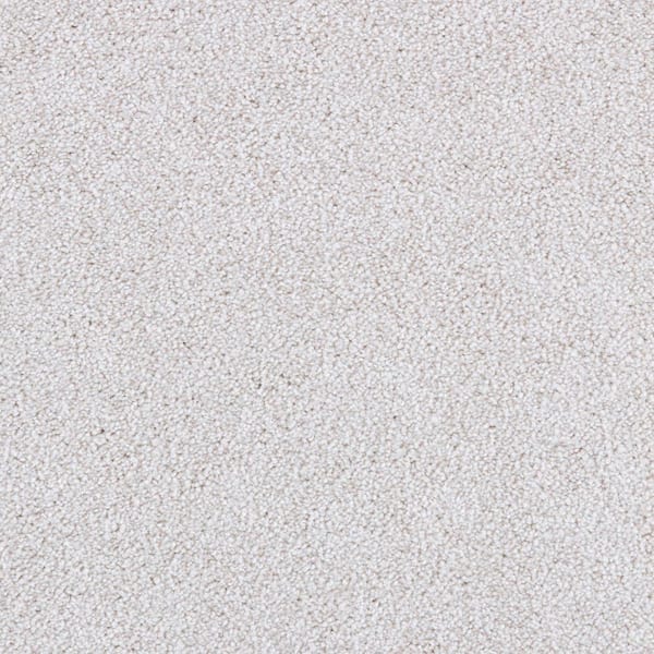 Lifeproof with Petproof Technology Playful Moments I Moonbeam Gray 34 oz. Triexta Texture Carpet ...