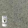 Rust-Oleum 12 oz. Stone Creations Gray Stone Textured Finish Spray ...