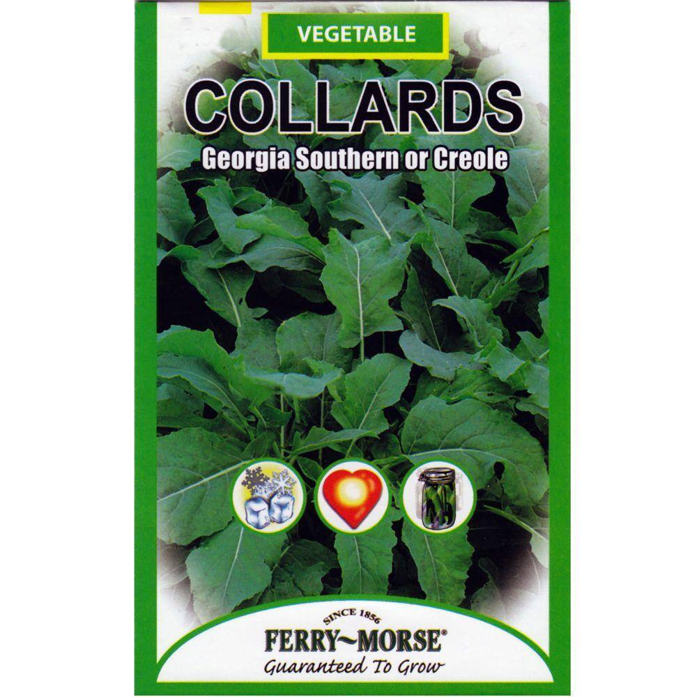 Ferry-Morse 2.5-Gram Collards Georgia Southern (Creole) Seed 1269 - The ...