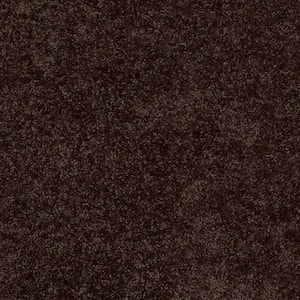 TrafficMaster 8 in. x 8 in. Texture Carpet Sample - Alpine - Color ...