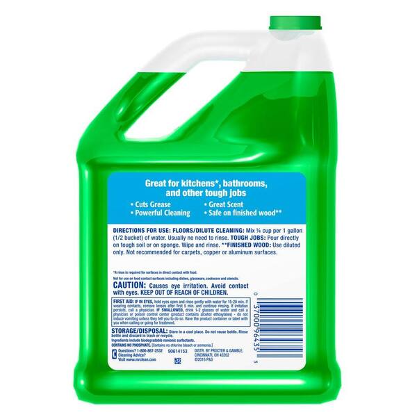 Mr Clean Floor Products