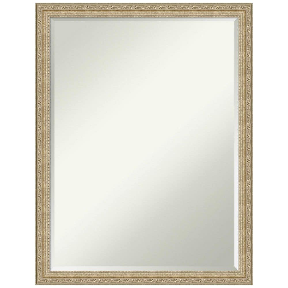 Amanti Art Paris Champagne 20 in. x 26 in. Petite Bevel Classic ...