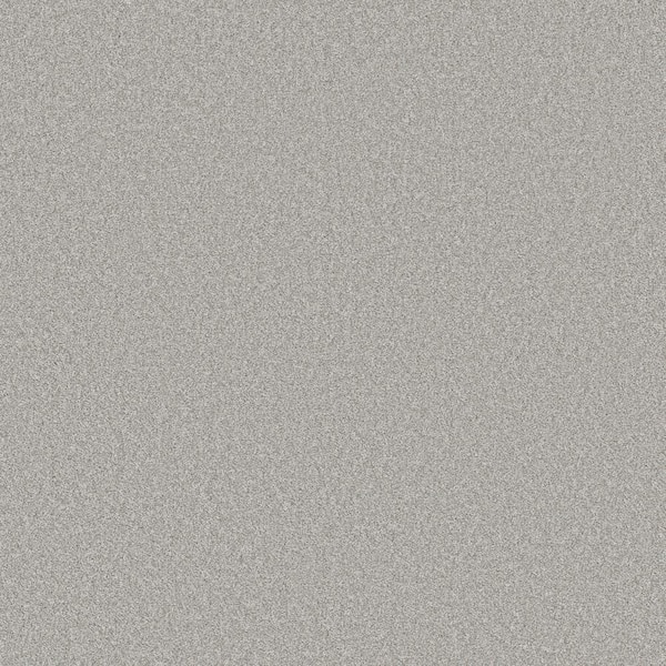 Lifeproof 8 in. x 8 in. Texture Carpet Sample - Coastal Charm I -Color ...