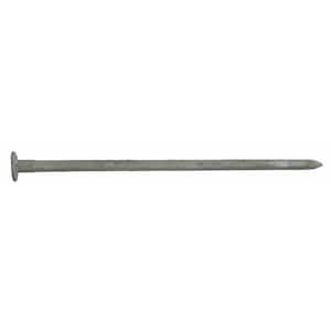 HUTTIG-GRIP 10 in. Hot Galvanized Spike Nail EA HGN10HGSPKEA - The Home ...