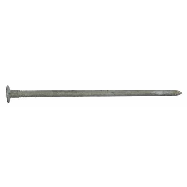 HUTTIG-GRIP 12 in. Hot Galvanized Spike Nail EA HGN12HGSPKEA - The Home ...