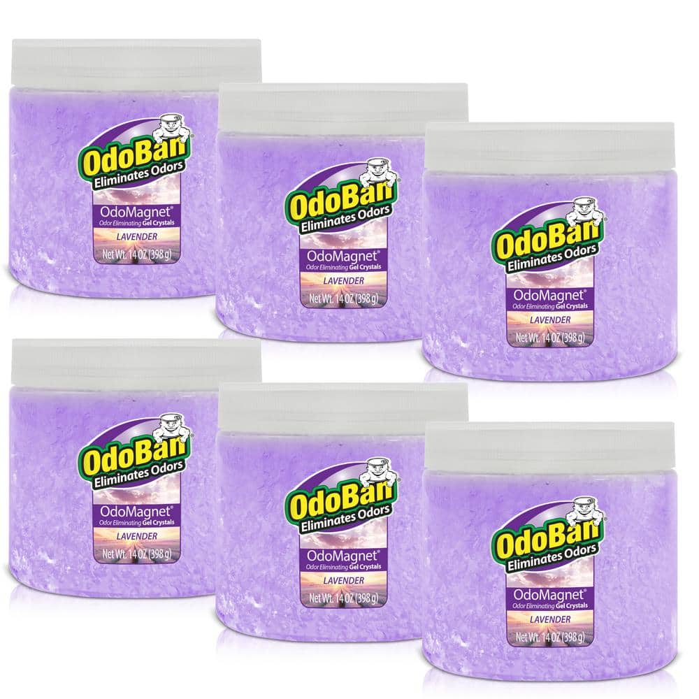 OdoBan 14 oz. OdoMagnet Odor Removing Gel Crystals, Odor Absorber and ...