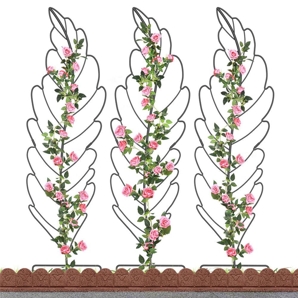 ABORON 3-Pack Metal Garden Trellis Plant Support Trellis for Climbing ...