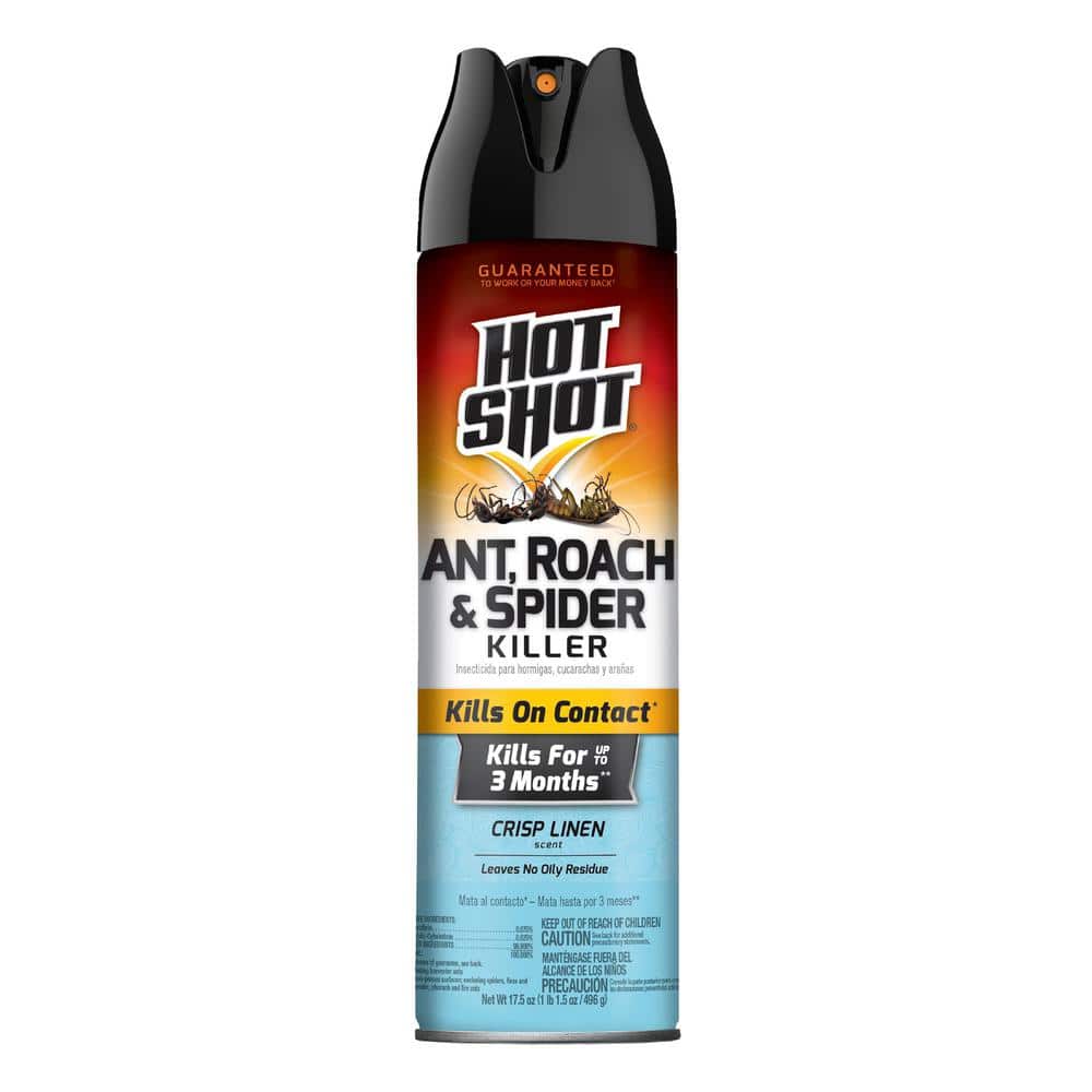 Hot Shot 17.5 oz. Ant, Roach and Spider Insect Killer Aerosol Spray ...