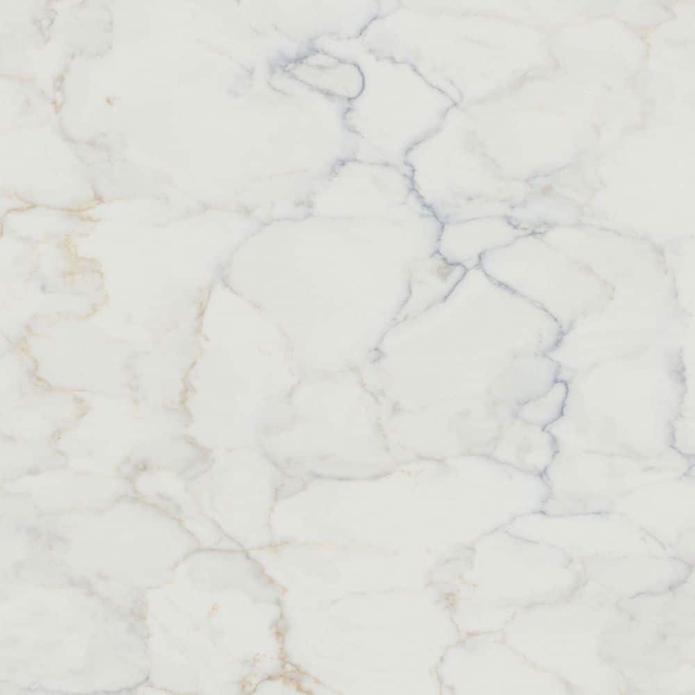 STONEMARK 4 in. x 4 in. Quartz Countertop Sample in Calacatta Azulean P ...
