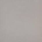 EMSER TILE Citizen Public Matte 23.62 in. x 23.62 in. Porcelain Floor ...