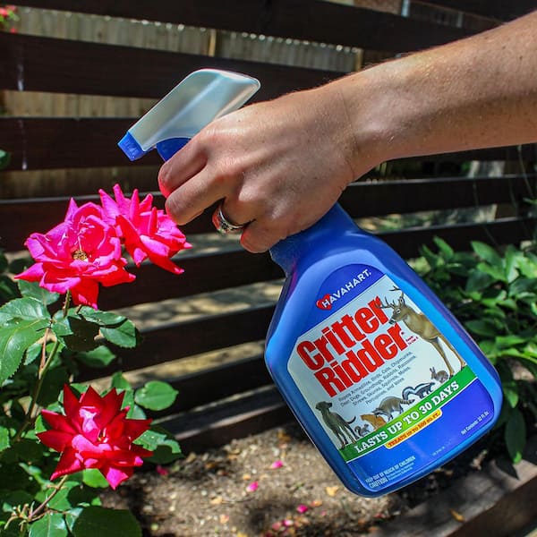 Critter Repellent Spray Havahart Critter Ridder II Outdoor Natural