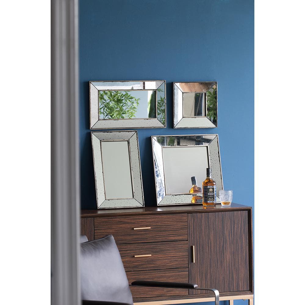 Traditional 16 in. W x 24 in. H Rectangle Silver Framed Wall Mirror ...