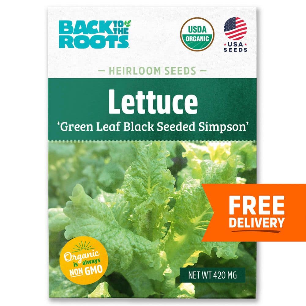 Back to the Roots Organic Green Leaf Black Seeded Simpson Lettuce Seed ...