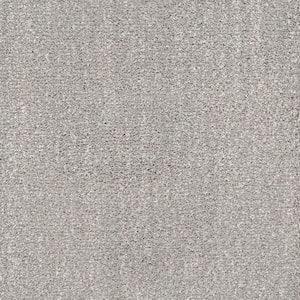 Lifeproof 8 in. x 8 in. Texture Carpet Sample - Fluffy Expectations ...