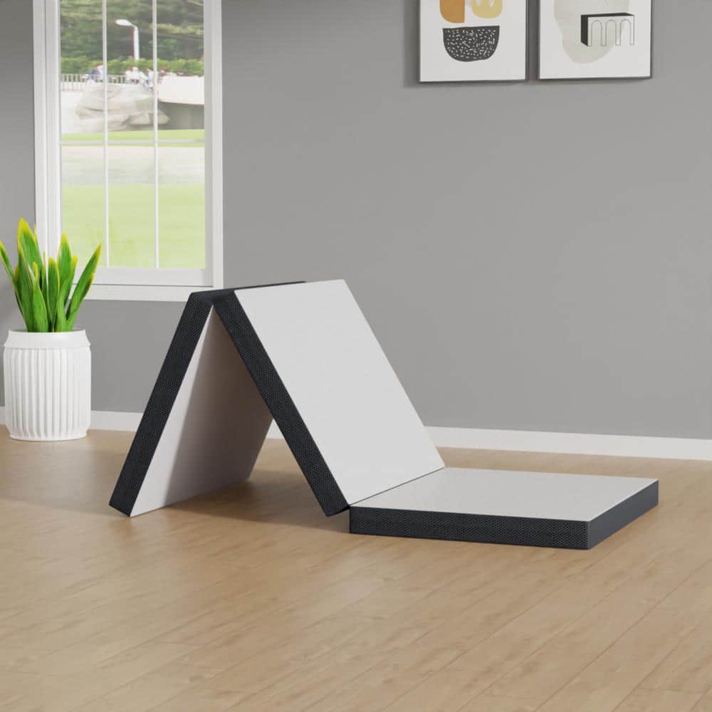 Furniture of America Bexa Narrow Twin Medium Memory Firm Foam Topper 3 ...