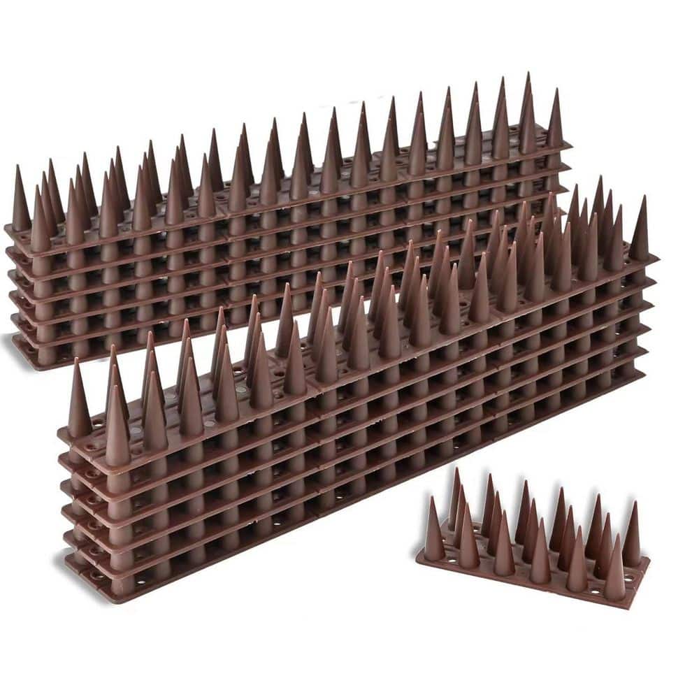 Oyezvary 4 in. x 1.57 in. Plastic Bird Spikes for Blocking Little Robin ...