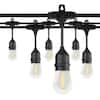 Honeywell Outdoor/Indoor 48 ft. Plug-In A-Shape Bulb String Light Set ...