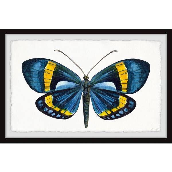 MARMONT HILL INC "Believe in Your Wings" by Marmont Hill Framed Animal ...