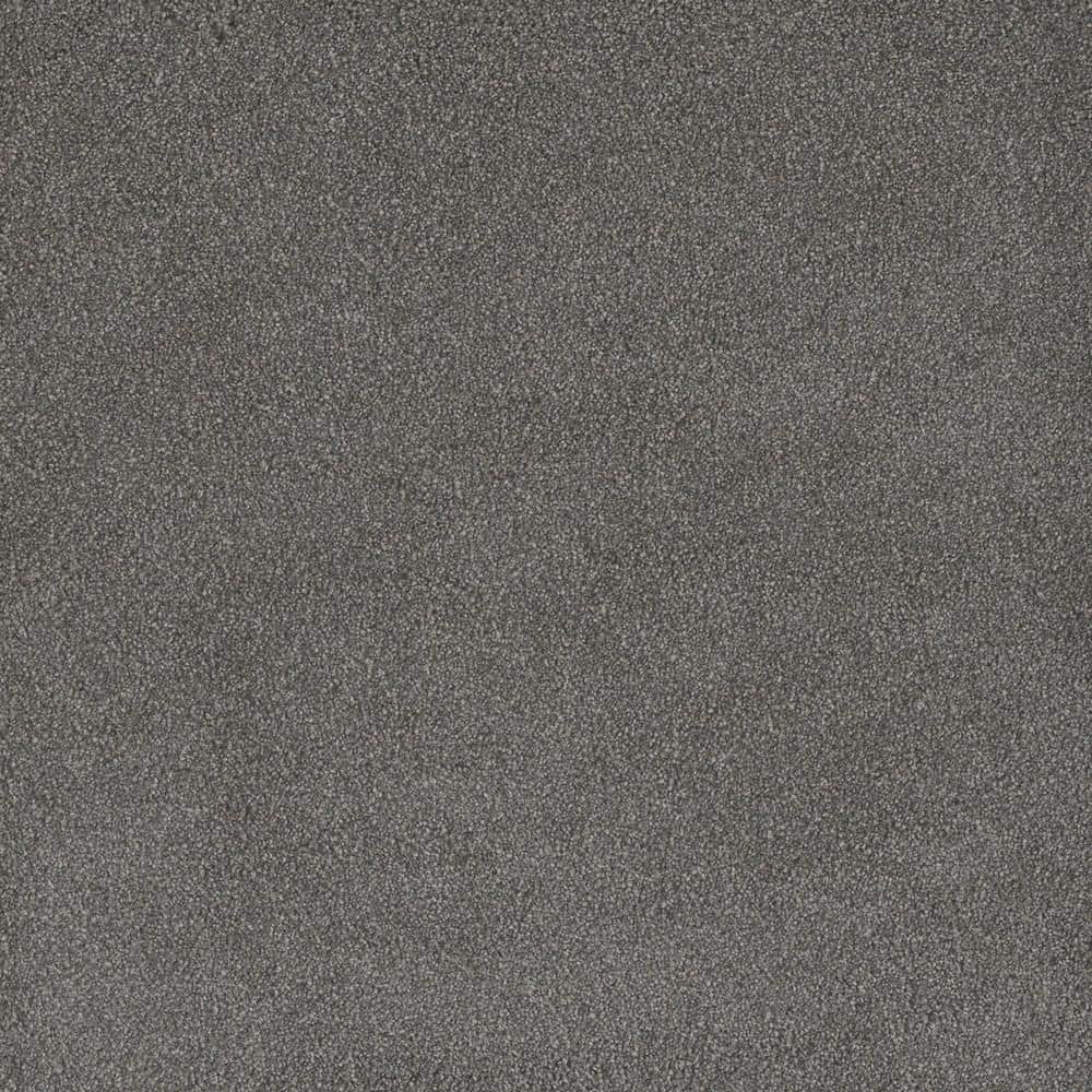 Home Decorators Collection First Class II - Leland - Beige 50 oz. SD ...