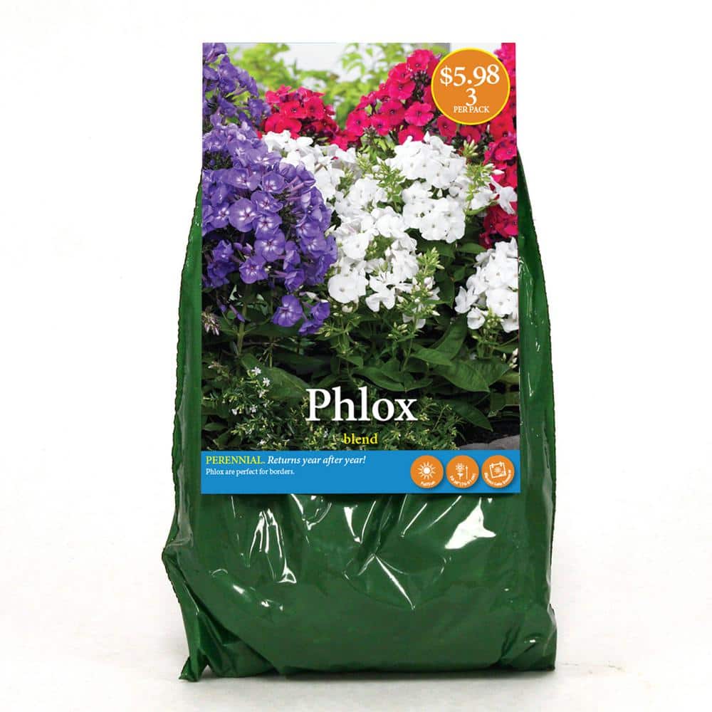 Phlox Blend Bulbs 3-Count 34327 - The Home Depot
