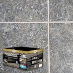 DAICH SpreadStone SpreadStone 2.5 Gal. LakeRock Satin Interior/Exterior ...