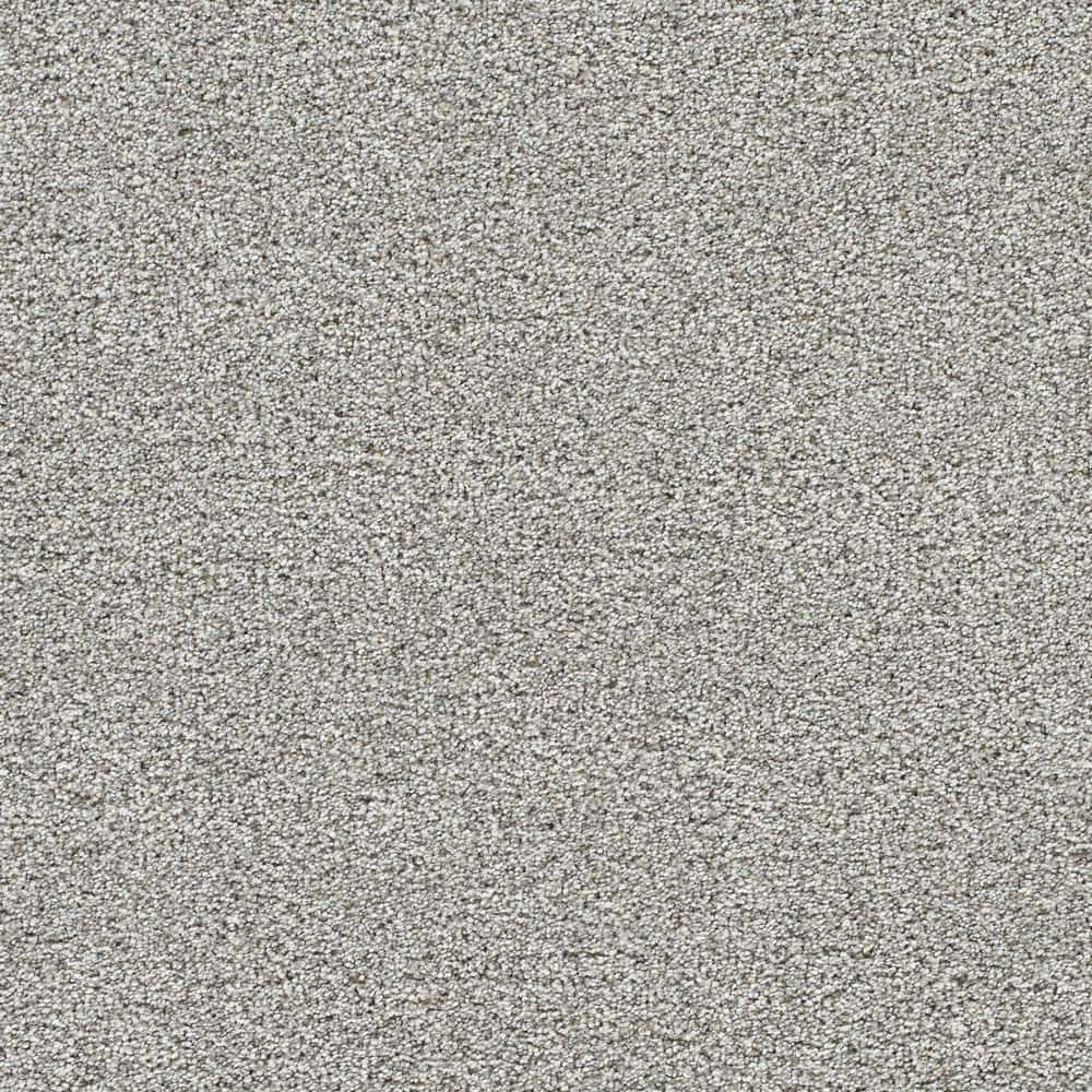 Lifeproof 8 in. x 8 in. Texture Carpet Sample - Evermore III - Color ...