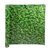 NATURAE DECOR 2.8 ft PRIVACY BALCONY 34" x 180" SCREEN FOLIAGE PRINT ...