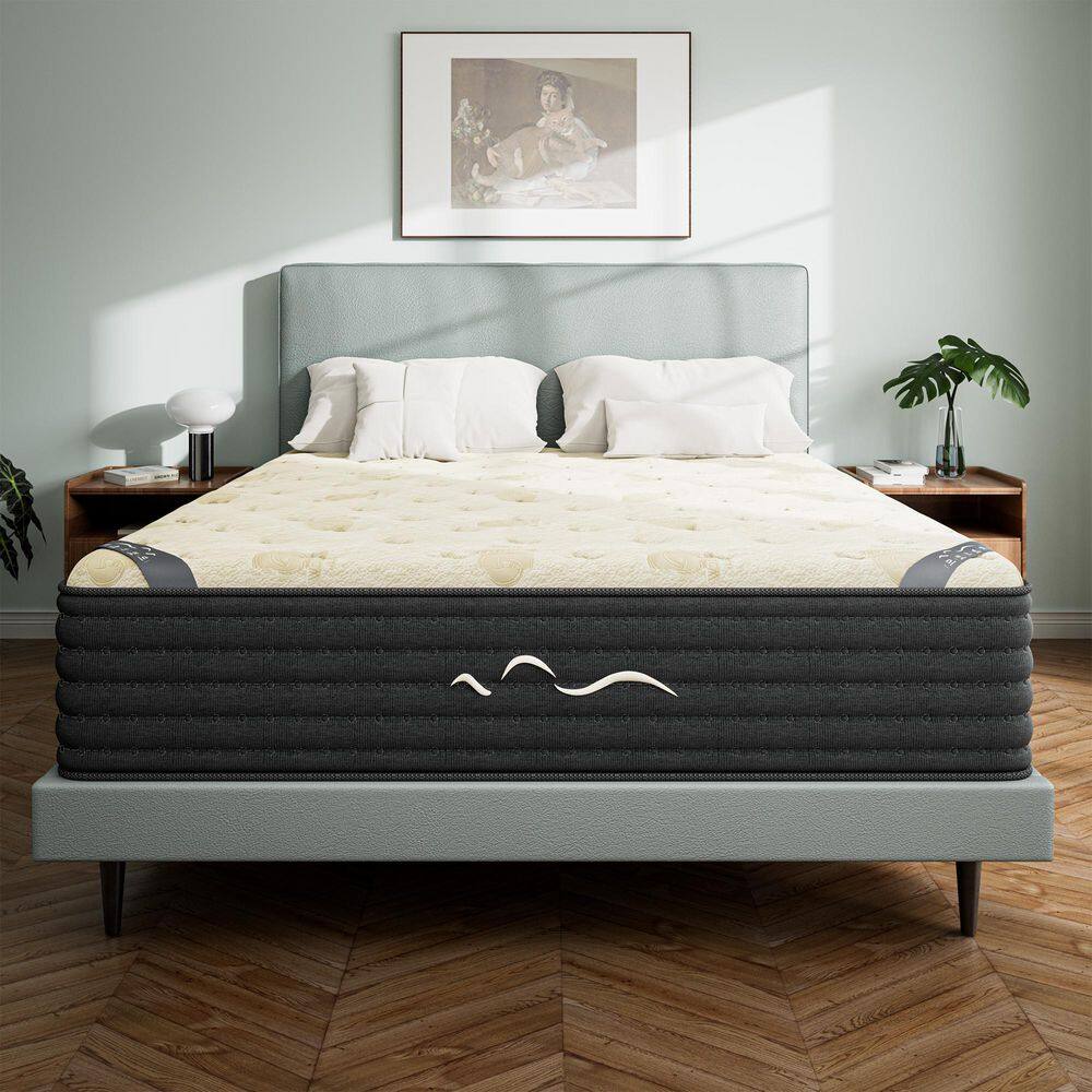 Babo Care KING Medium Hybrid Gel Memory Foam 14 in. with Luxurious ...