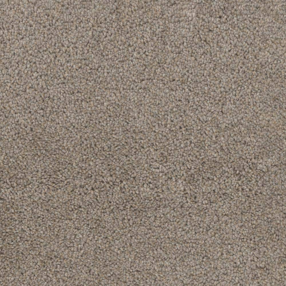 Home Decorators Collection Affectionate I - Smitten - Gray 40 oz. SD ...