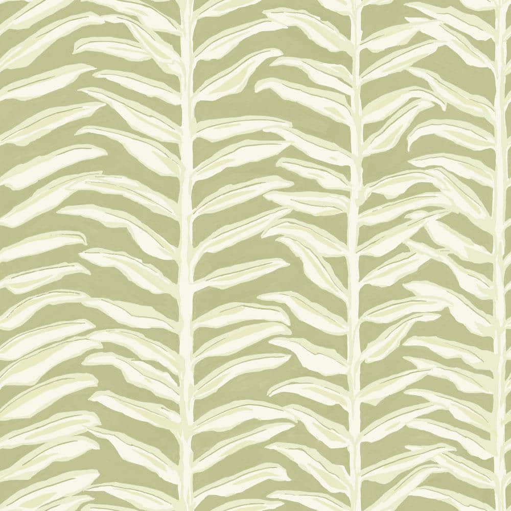 Tempaper Matcha Painted Vine Vinyl Peel and Stick Wallpaper Roll ...