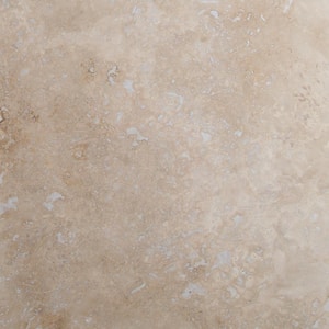 MSI Take Home Tile Sample - Castle 4 in. x 4 in. Honed Travertine Floor ...