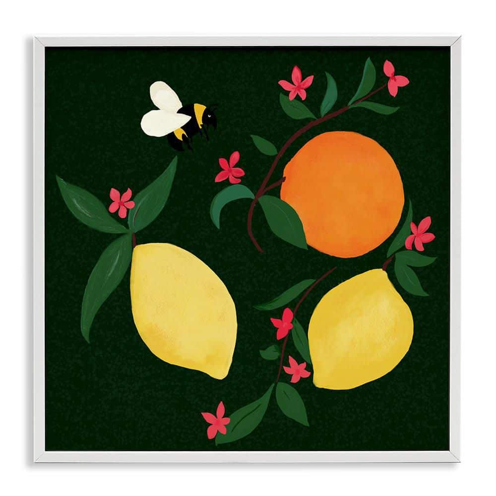 Stupell Industries Citrus & Bumble Bee by Michelle Ingari Designs White ...