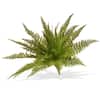 National Tree Company 21 in. Artificial Garden Accents Ruffle Fern ...