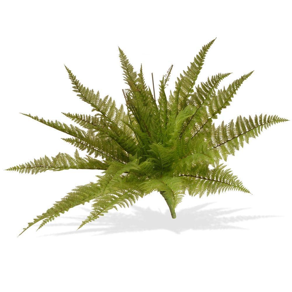 National Tree Company 21 in. Artificial Garden Accents Ruffle Fern ...