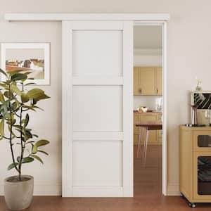 ARK DESIGN 30 in. x 80 in. Hidden Track Style Paneled 1 Lite White ...