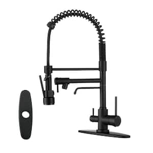 AVITAS 17.5 in. Double Handle Pull Down Spray Kitchen Faucet with ...