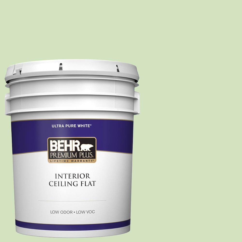 BEHR PREMIUM PLUS 5 gal. #P380-3 Irish Folklore Ceiling Flat Interior ...