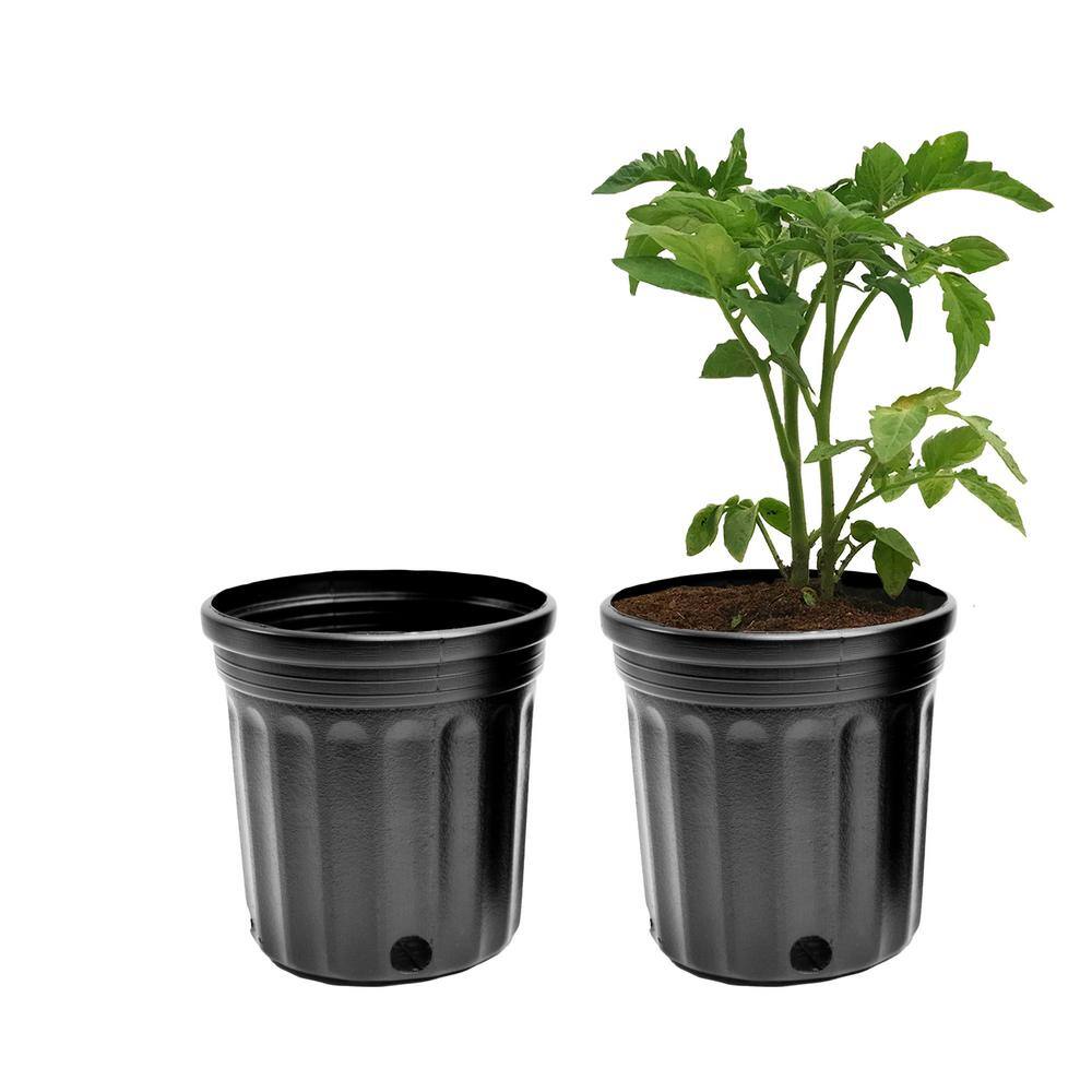 Viagrow 1/2 Gal. Plastic Nursery Trade Pots (20-Pack) VHPP50-20 - The ...
