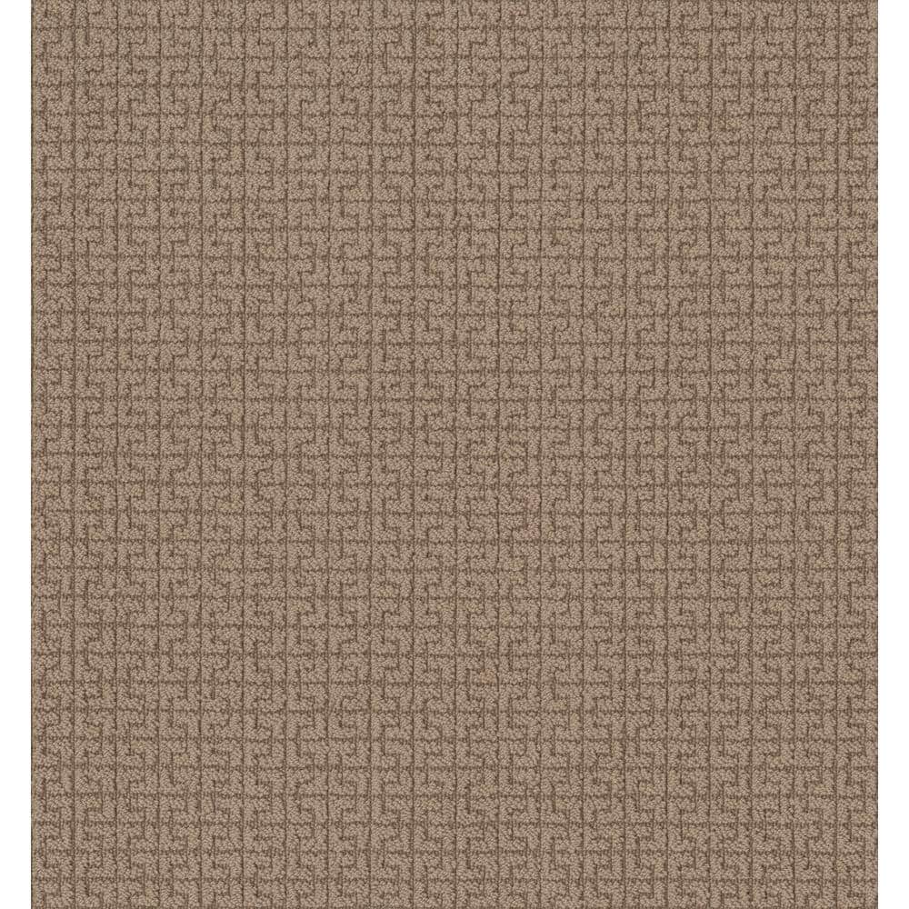 Shaw 8 in. x 8 in. Pattern Carpet Sample - Claymore - Color Studio SH ...