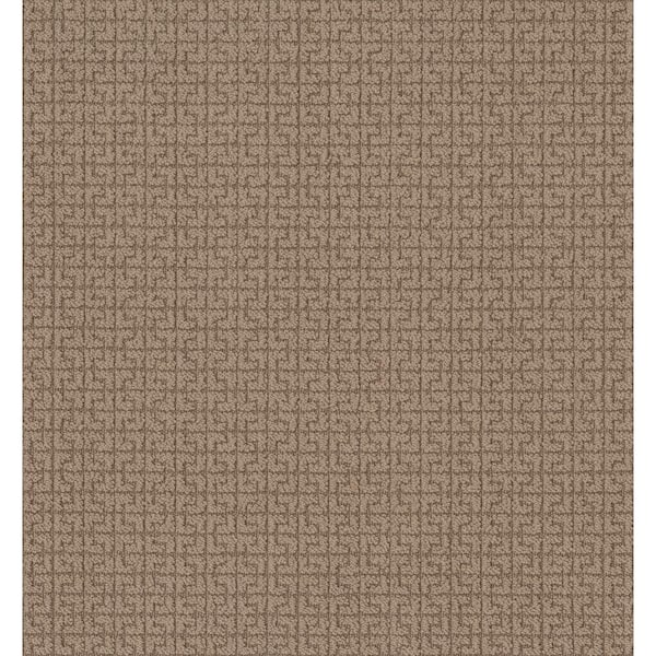 Shaw 8 in. x 8 in. Pattern Carpet Sample - Claymore - Color Studio SH ...
