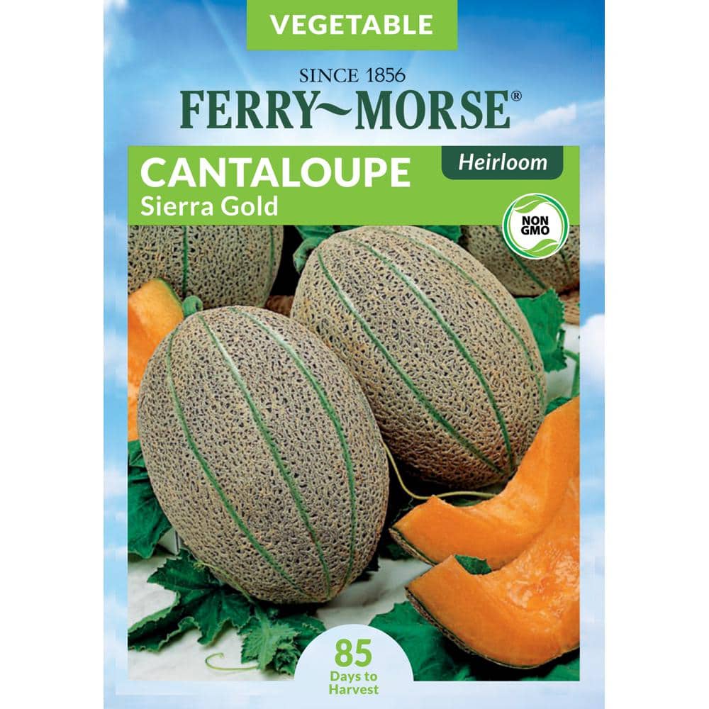 Craft Supplies & Tools Floral & Garden Crafts Todd's Seeds Hearts of ...