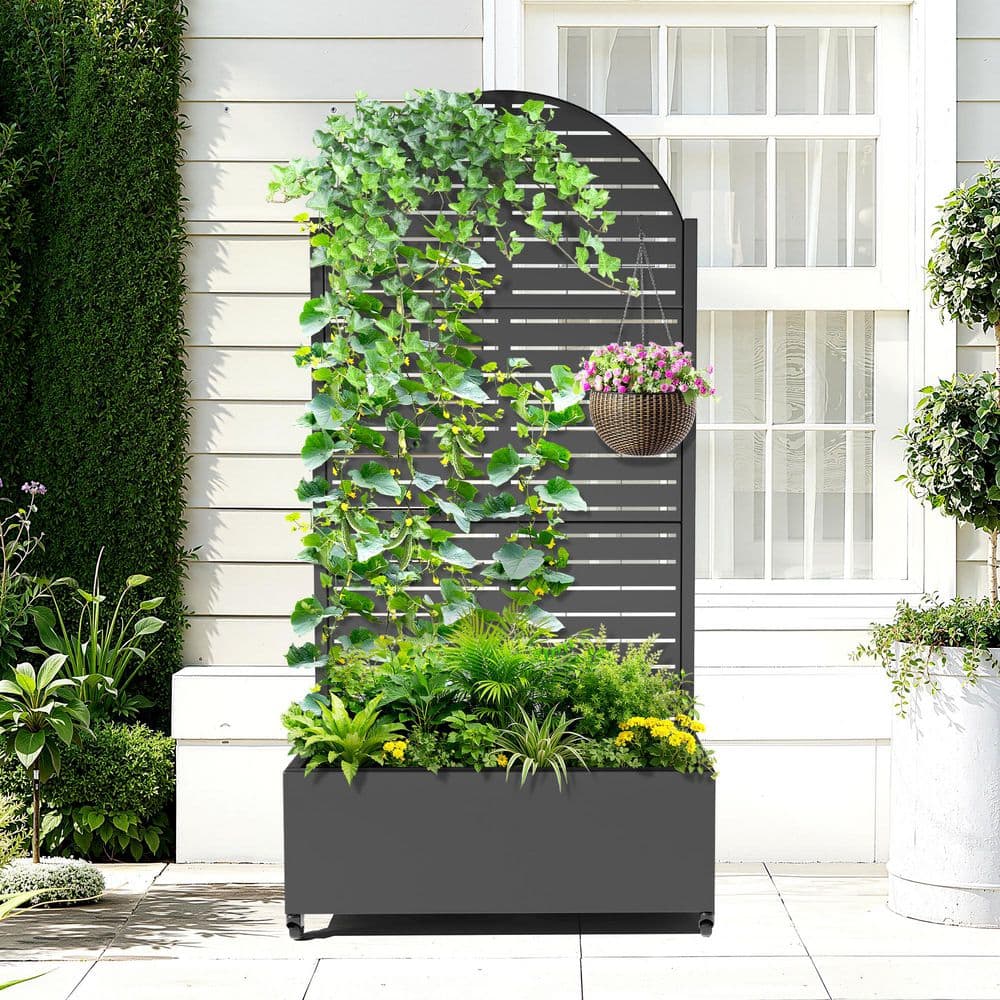 TUYOHW 35 in. x 16 in. x 71 in. Black Arched Metal Raised Garden ...