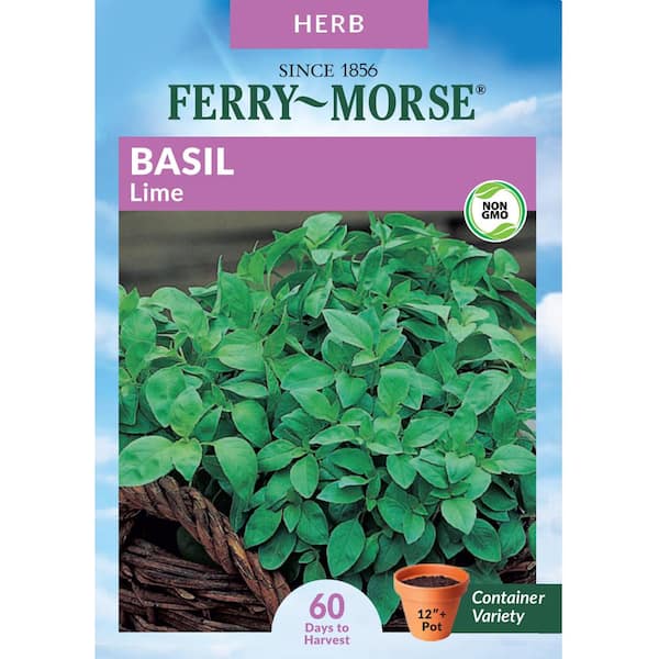 Ferry-Morse Basil Lime Herb Seed 9694 - The Home Depot