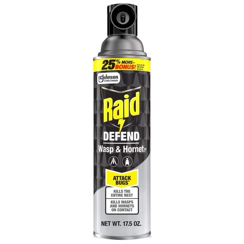Raid Wasp and Hornet Killer, Stinging Bug Insecticide for Outdoor Use ...