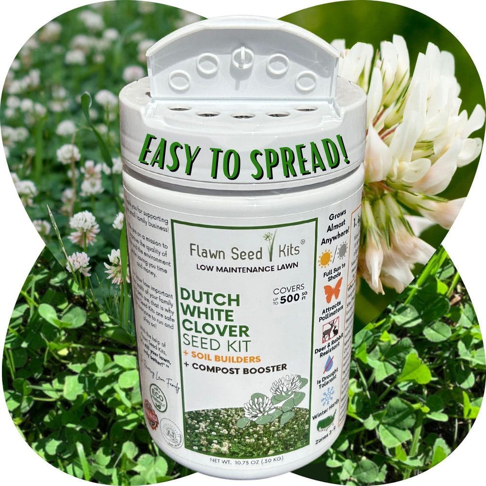 Flawn Seed Kits Dutch White Clover Flower Lawn Seed Kit, Easy Spread ...