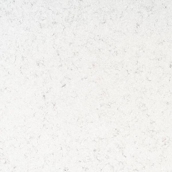STONEMARK 4 in. x 4 in. Quartz Countertop Sample in Carrara Iris-P-QSL ...